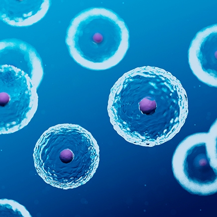 Cell Lines & Stem Cells | Revvity